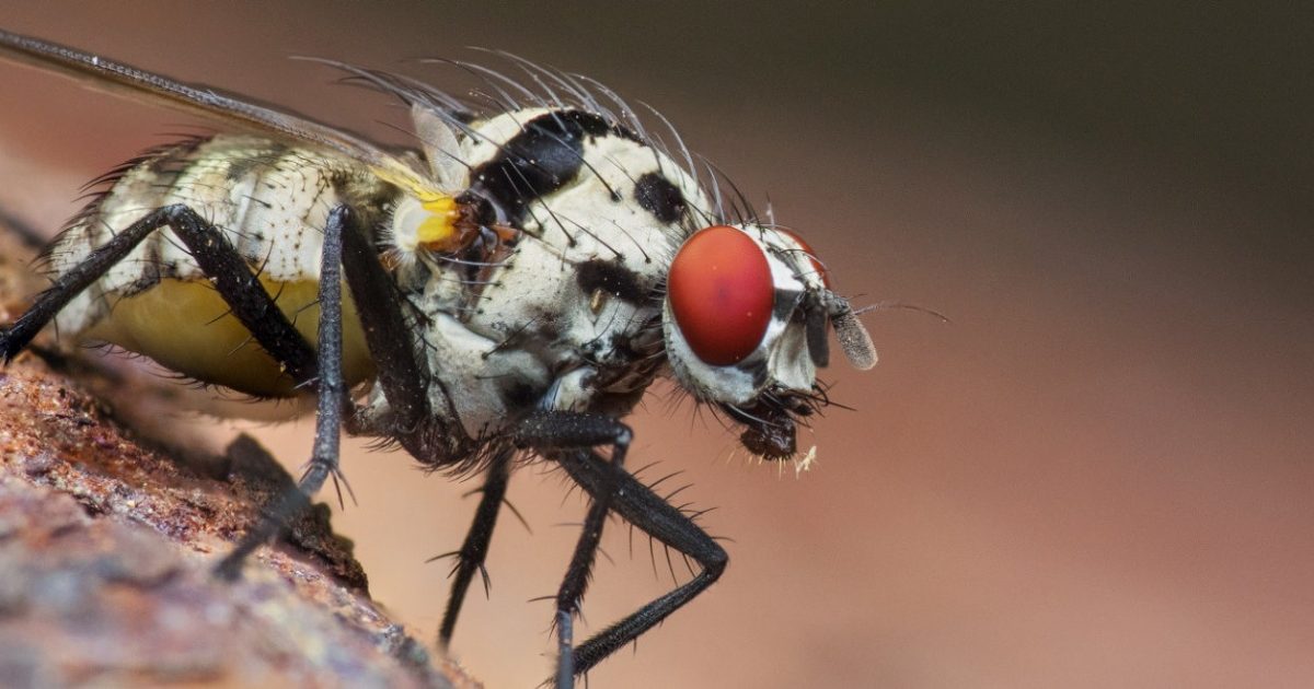 Twig Date Bug Work Around in Craft CMS | Caffeine Creations